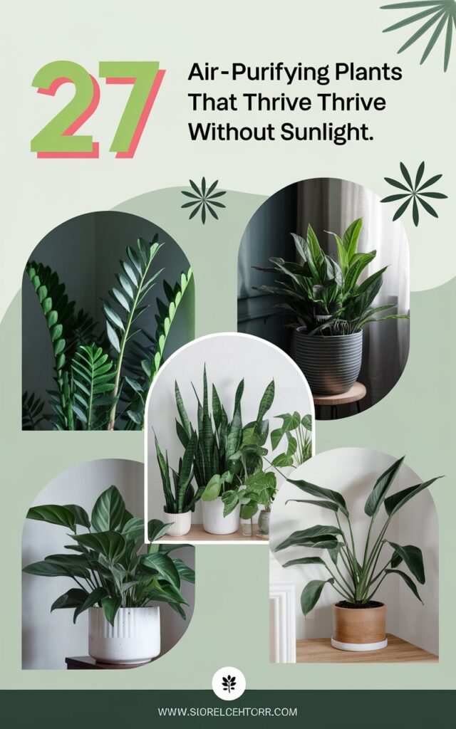 27 Air-Purifying Plants That Thrive Without Sunlight (Updated 2025)